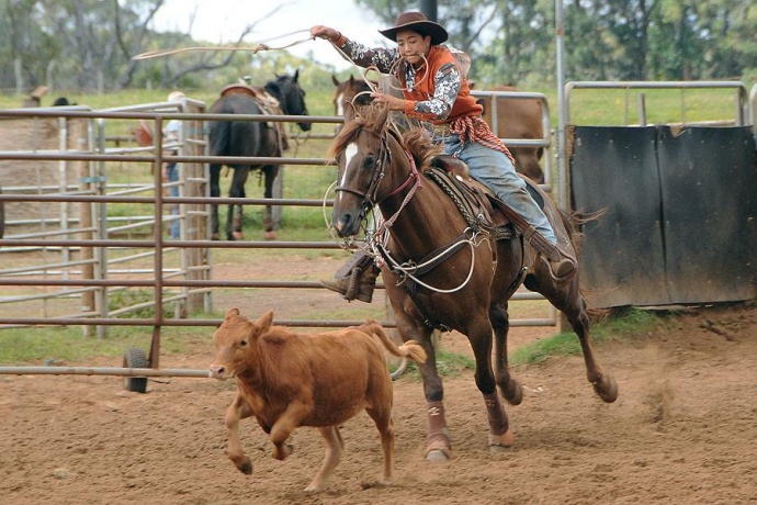 2018 Maui Youth Rodeo Annual Benefit : Maui Now