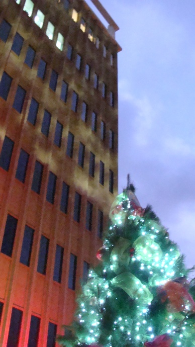 VIDEO: County Counts Down to Holidays With Tree Lighting : Maui Now