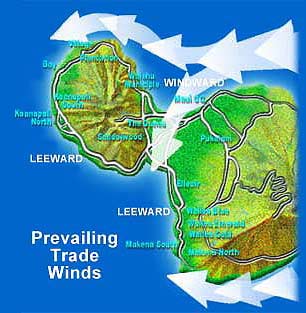 Maui’s Wind vs Surf Situation Explained : Maui Now