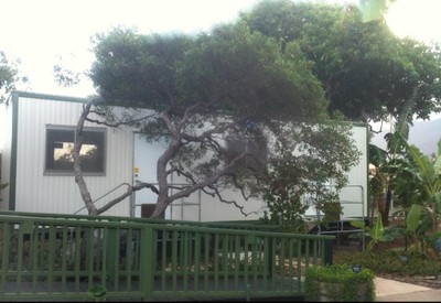 6 Hawai‘i Trees Selected in National Big Tree Program : Maui Now