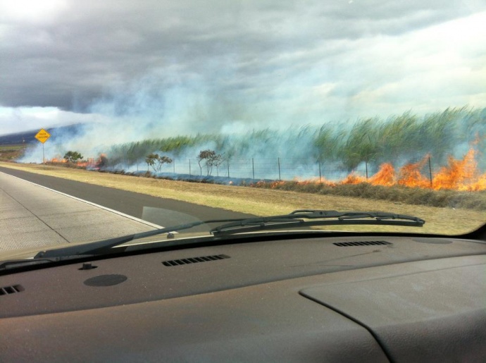 Arson Suspected in 3 Unscheduled Cane Fires : Maui Now