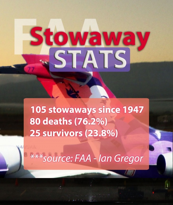 FAA: 105 Stowaway Attempts Since 1947, 80 Were Fatal : Maui Now