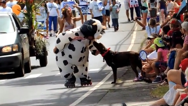 VIDEO: 2014 Makawao Parade and Rodeo Highlights : Maui Now