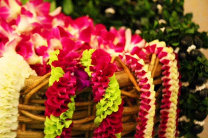 Ask the Mayor: Can We Participate in Memorial Day Lei-Making? : Maui Now