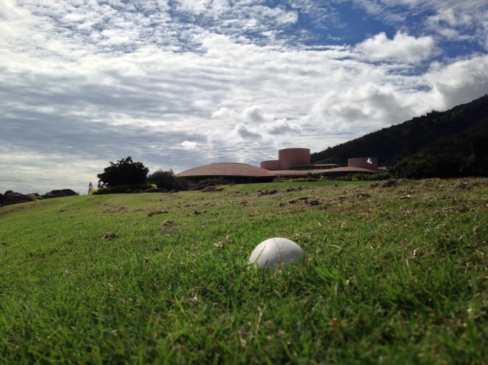 Nēnē Goose Egg Found at Maui Golf Course : Maui Now