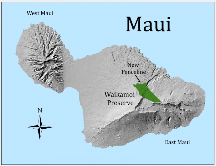 New Waikamoi Fence Protects East Maui Watershed | Maui Now | Hawaii News