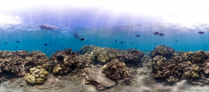 Scientists Launch Mission to Reveal Condition of Hawaiʻi’s Reefs : Maui Now