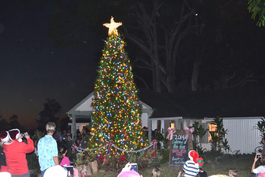 MauiWine’s 2nd Annual Holiday Tree Lighting at ʻUlupalakua : Maui Now