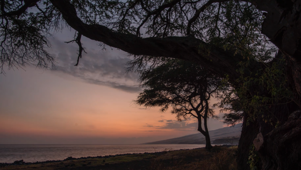 Holiday Forecast: Sunshine, Haze, Humidity : Maui Now