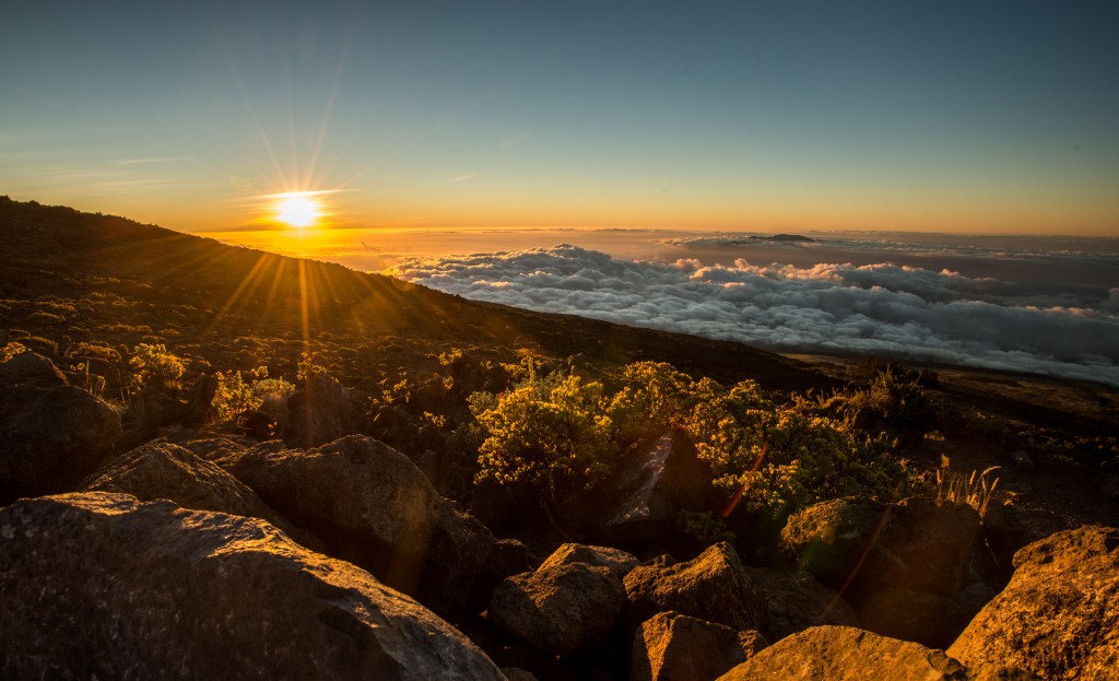 Light Northeasterly Winds Fill in Today : Maui Now