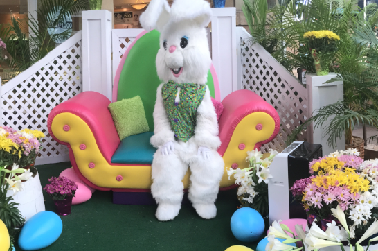 Easter Bunny Arrives For Picture Taking at the Queen Kaʻahumanu Center ...