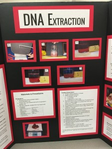 Students Excel at Kula Elementary Science Fair | Maui Now | Hawaii News