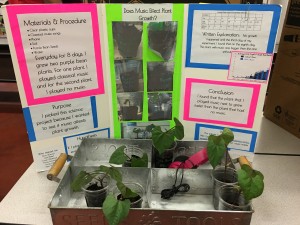 Students Excel at Kula Elementary Science Fair | Maui Now | Hawaii News