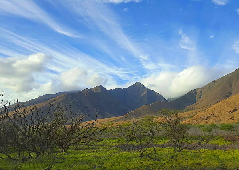 Sunny, Hot and Humid Today : Maui Now