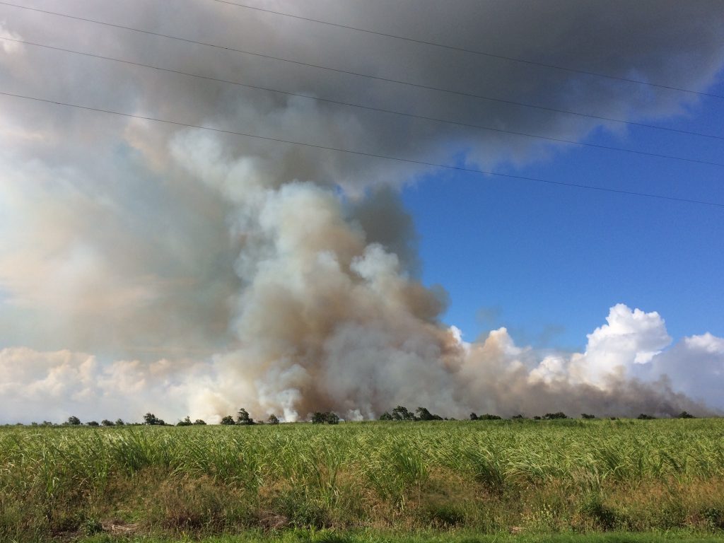 Unscheduled Sugar Cane Fire Burns 50 Acres : Maui Now