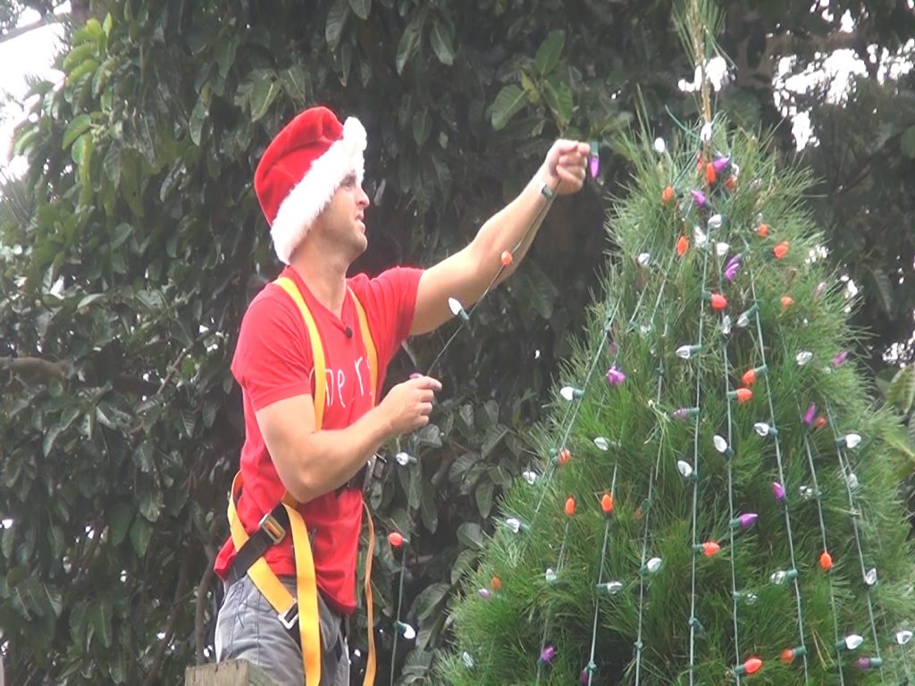 A Taste of the Holidays at MauiWine’s Tree Lighting : Maui Now