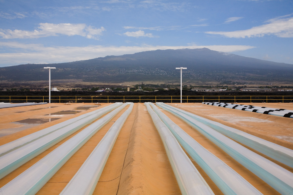 Kona’s Cellana and Living Ink Join in Development of Algae Inks : Maui Now