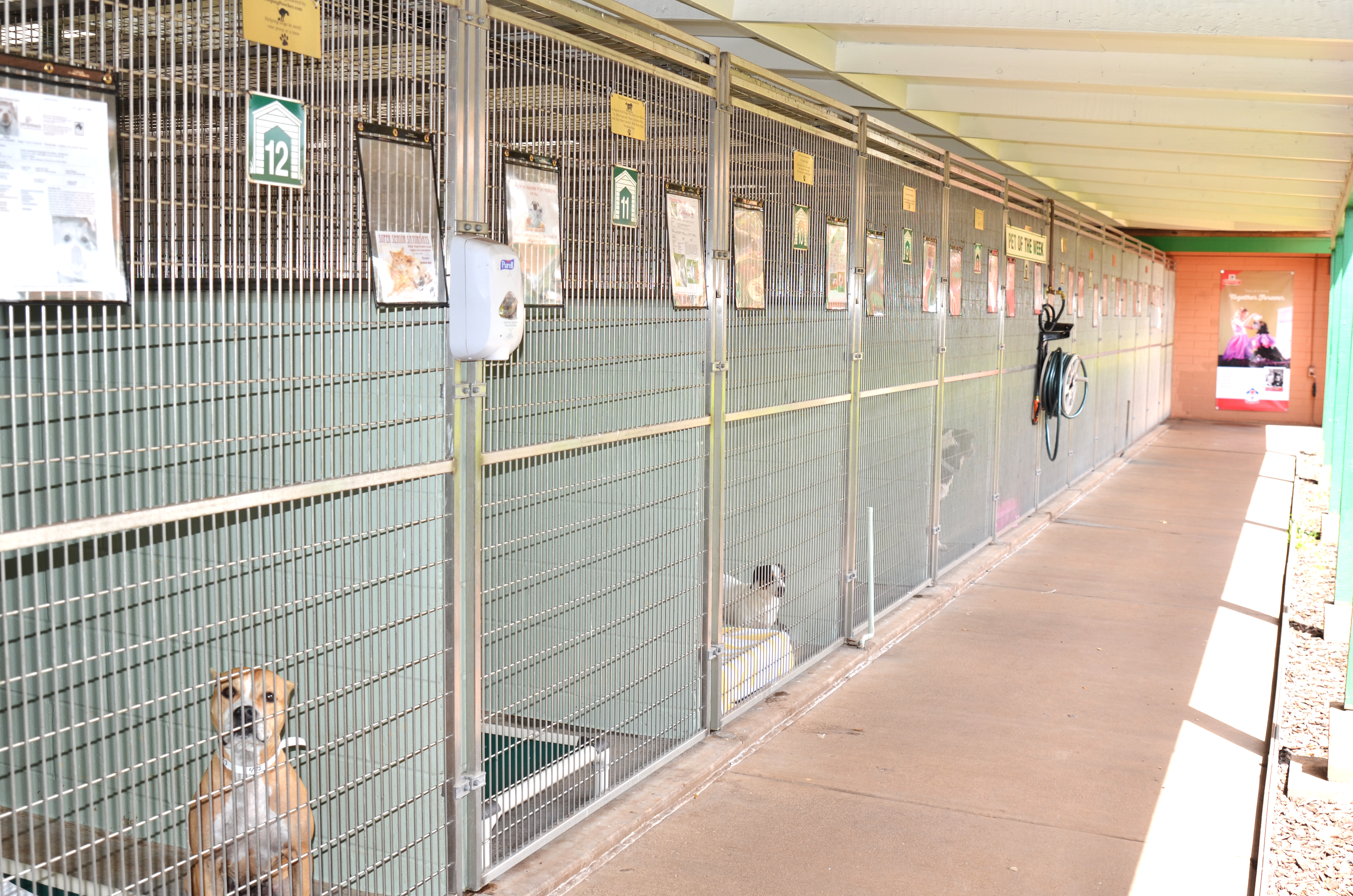 Celebrities With Homes on Maui | Maui Now