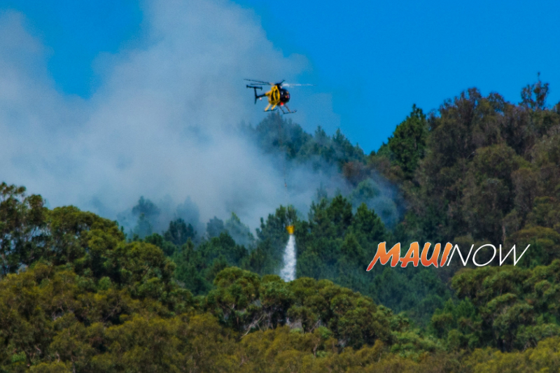 Remote Olinda Forest Fire Sparked by Downed Power Line : Maui Now