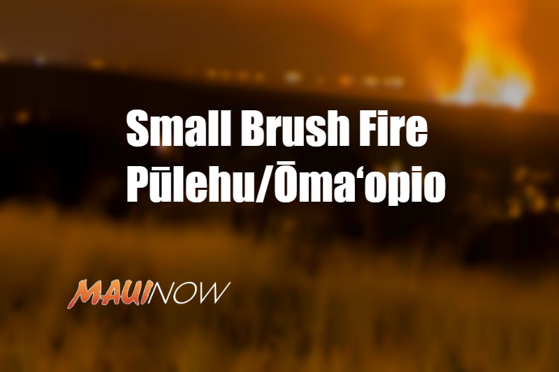 Brush Fire at Pūlehu/Ōma‘opio Junction : Maui Now