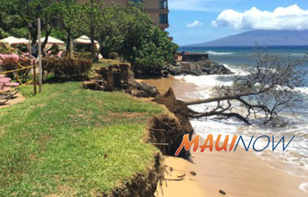 W Maui Wave Run-up Notification Under Development : Maui Now
