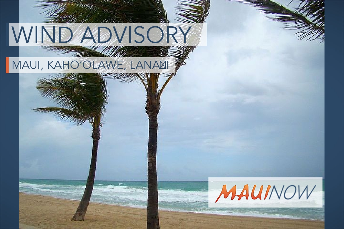 Summer Surf Update – Mostly Wind Swell | Maui Now