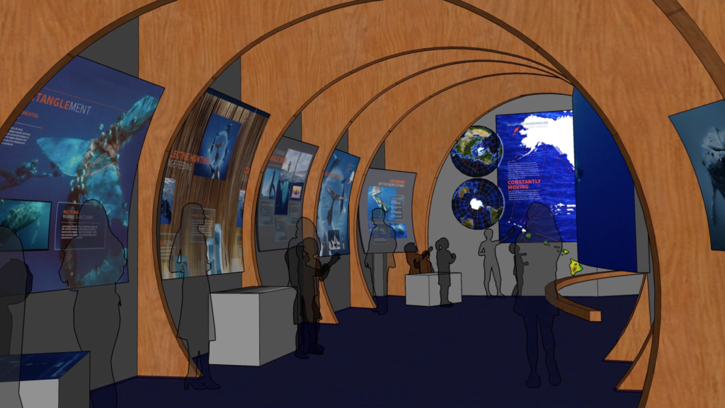 Maui Ocean Center Breaks Ground on Dome Theater Whale Exhibit | Maui ...