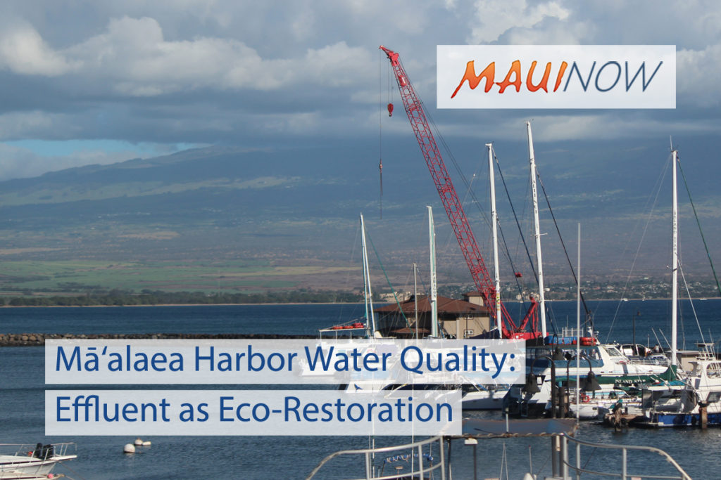 Mā‘alaea Harbor Water Quality: Effluent as Eco-Restoration : Maui Now