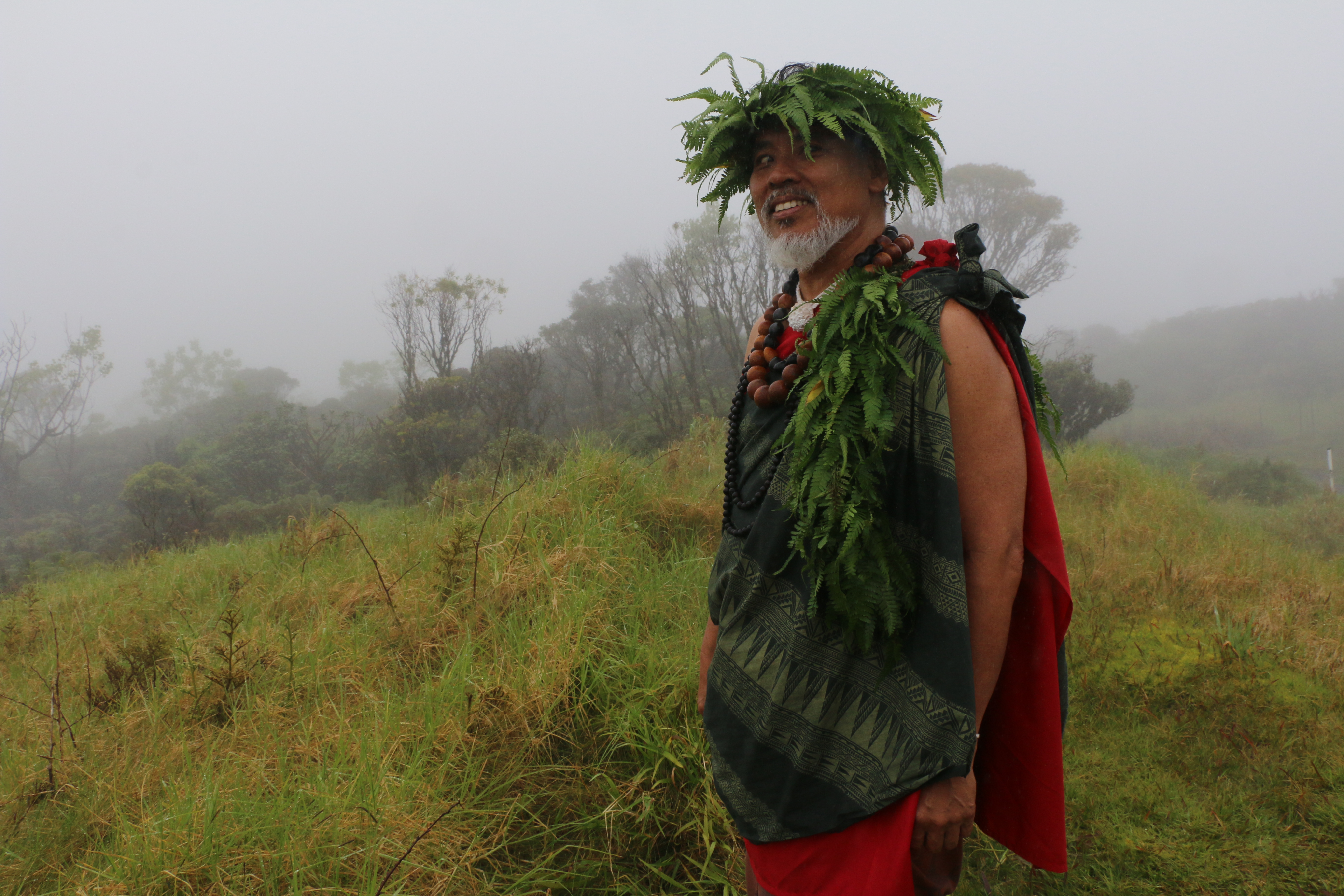 Mt. Ka'ala Chant Gifted at Natural Area Reserve | Maui Now | Hawaii News