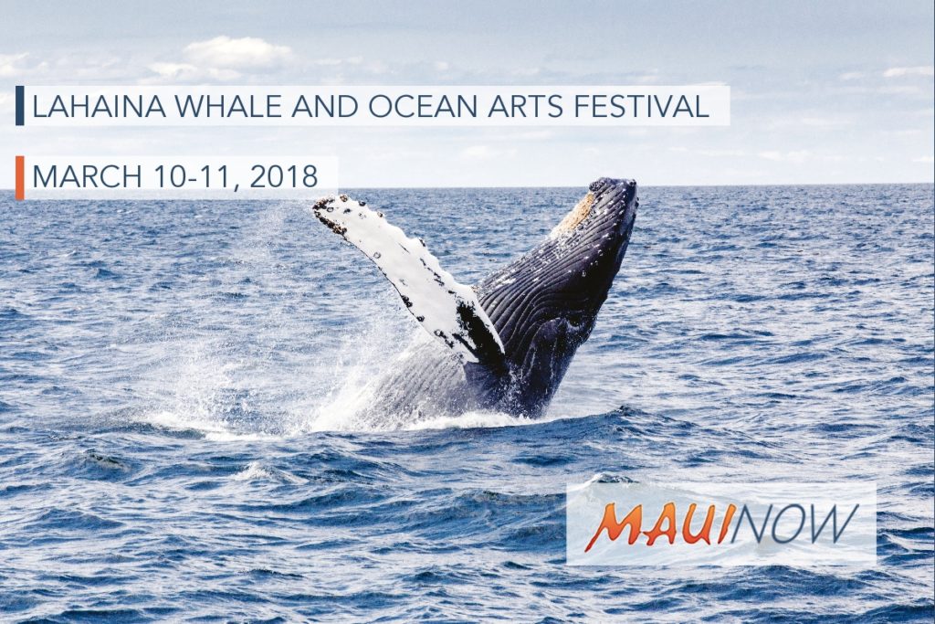 Lahaina Whale and Ocean Arts Festival 2018 : Maui Now