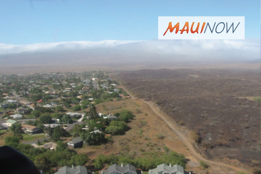 Grants Available to Protect Hawai’i Forests : Maui Now
