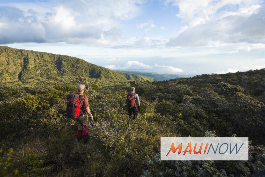 Conservation Training Offered to Tourism Professionals : Maui Now