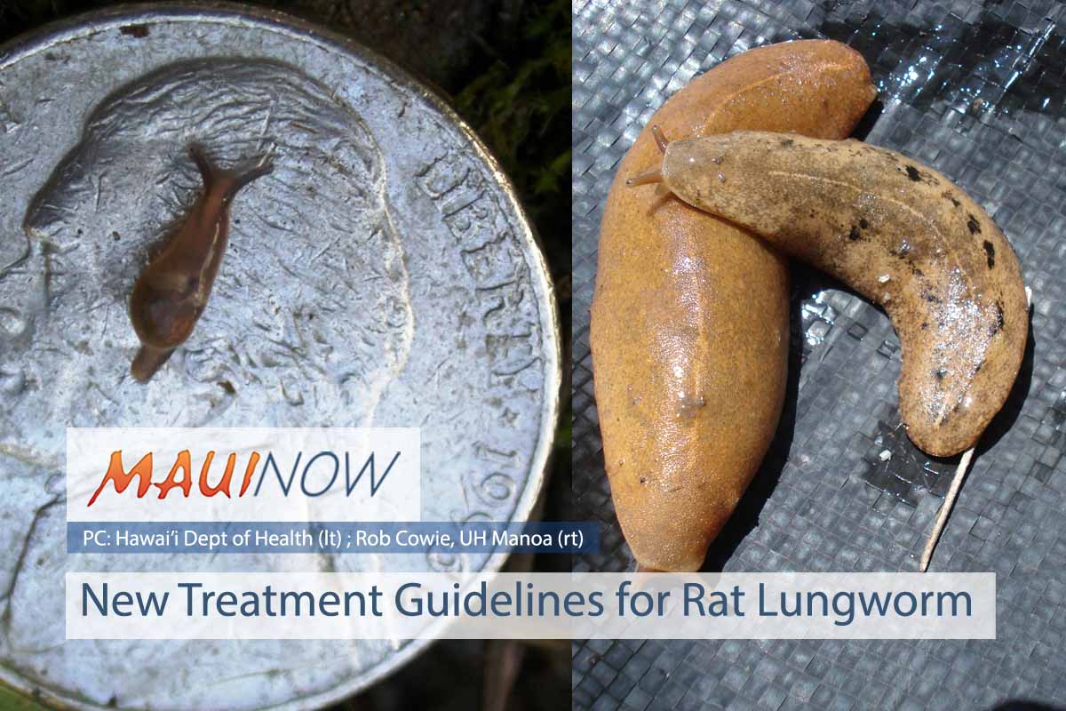 Maui Woman With Rat Lungworm Wants to Spread Awareness, Not Fear | Maui Now