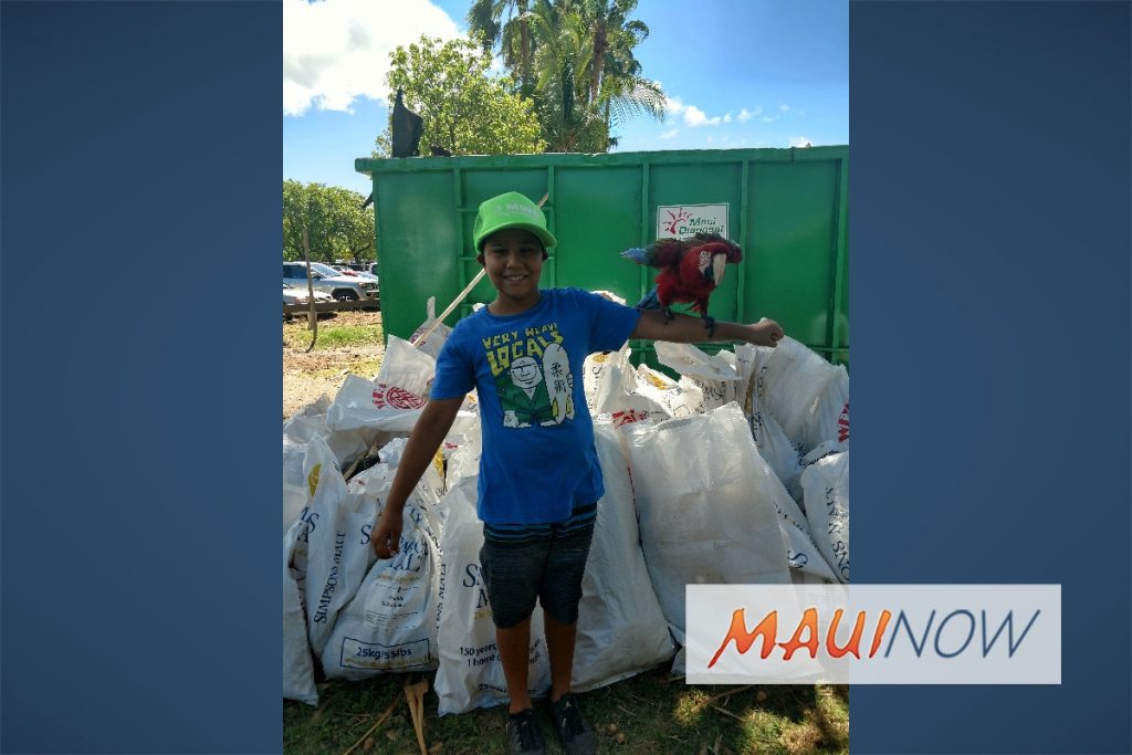 Volunteers Needed for Lahaina Town Clean Up : Maui Now