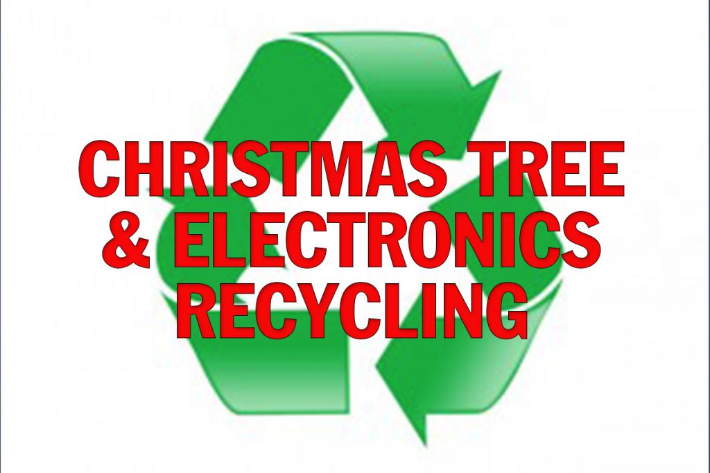 County Offers Holiday Tree and Electronic Recycling Options : Maui Now
