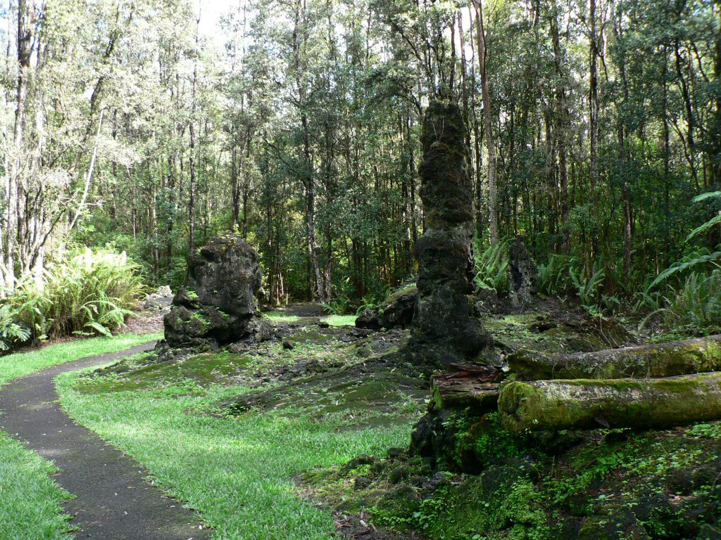 Lava Tree State Monument Reopens After 7 Months | Maui Now | Hawaii News