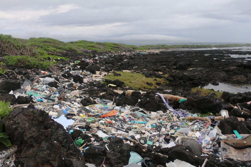 Wie kann der Kamilo Beach dauerhaft plastikfrei werden?