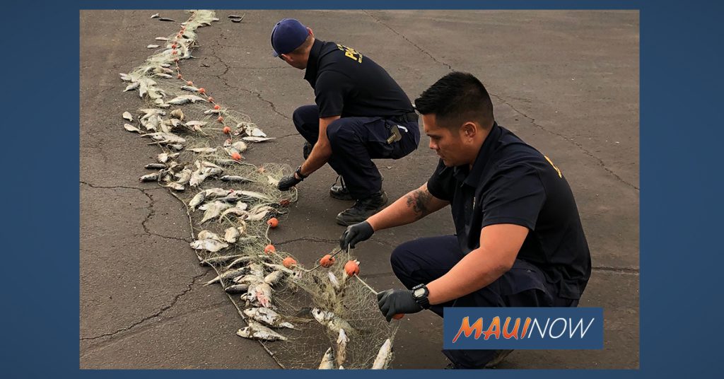 200 lbs of Āholehole Caught in Illegal Lay Net, Repeat Offender Cited ...