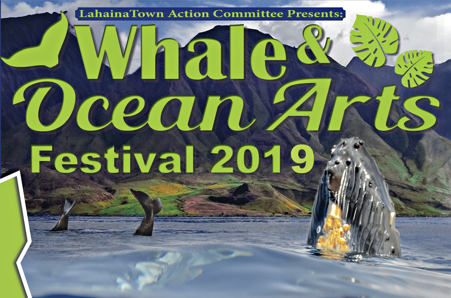Lahaina Whale and Ocean Arts Festival 2018 | Maui Now