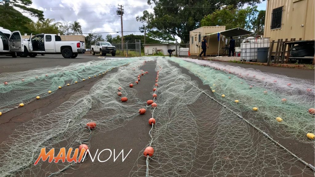 1,000 Feet of Illegal Lay Net Confiscated : Maui Now