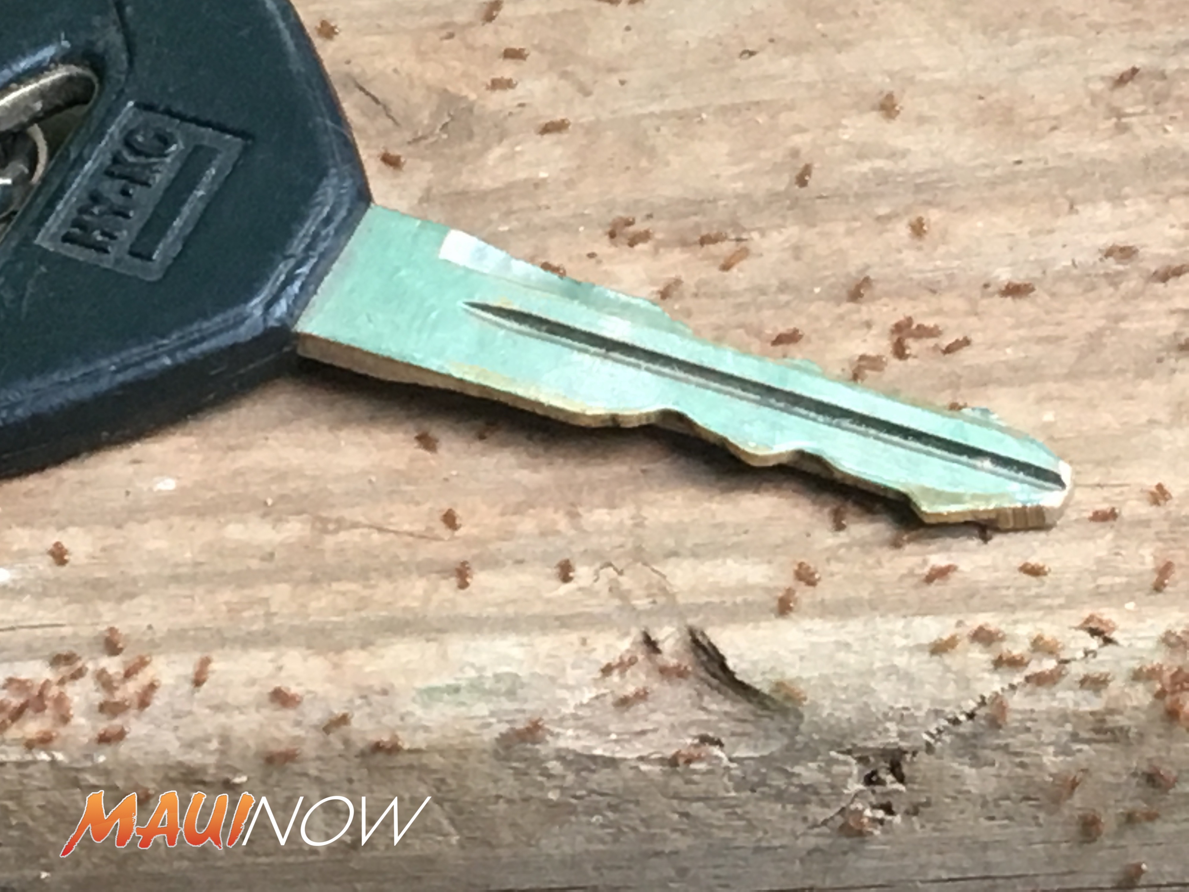 Watumull Properties Acquires Kahului Facility | Maui Now