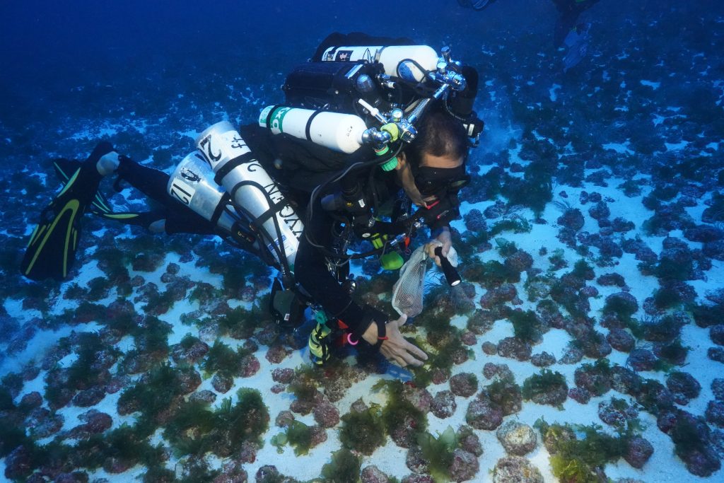 NOAA Research Diver Randy Kosaki collecting algae at300 ft : Maui Now