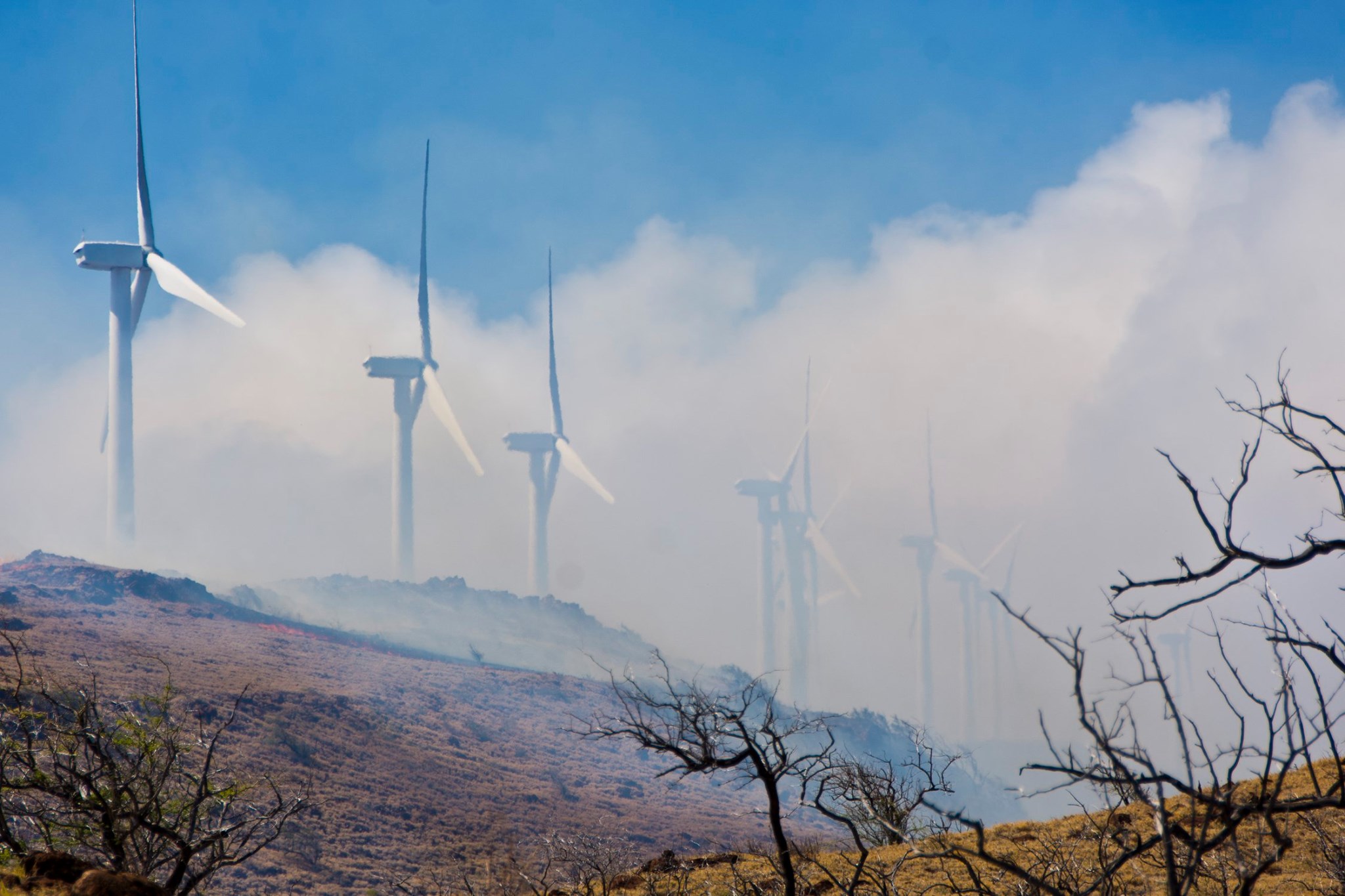 Firebreaks to be Installed in Pōhākea Watershed in Mā‘alaea Starting ...