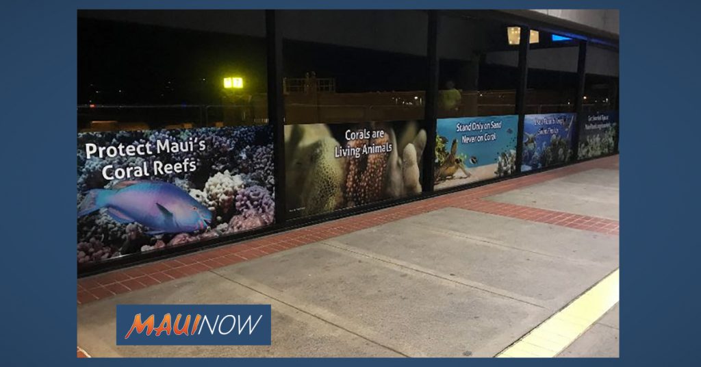 New Coral Reef Conservation Displays at Kahului, Airport : Maui Now