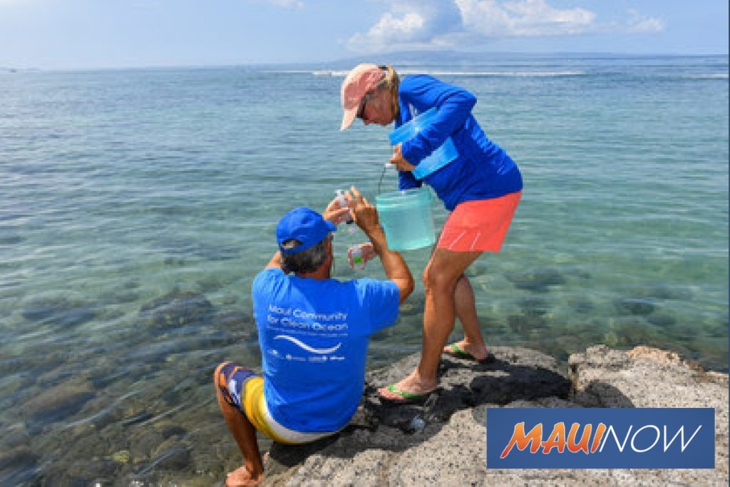 Volunteers Working For Cleaner Water Following Widespread Coral ...