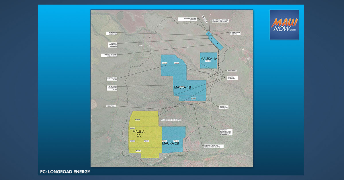 On The Menu with Pūlehu, An Italian Grill | Maui Now