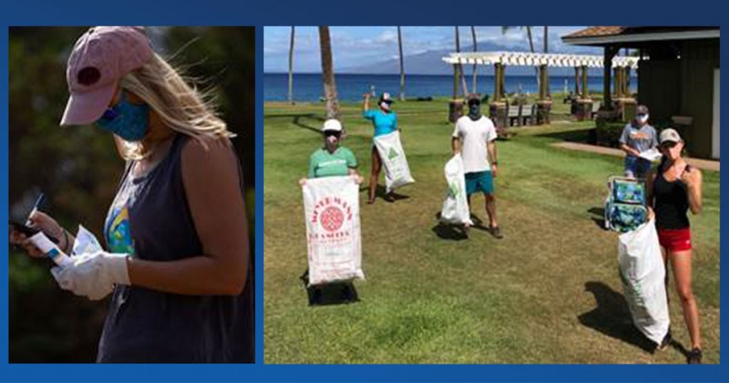 Pacific Whale Foundation Invites Residents to Join New Adopt A Beach ...