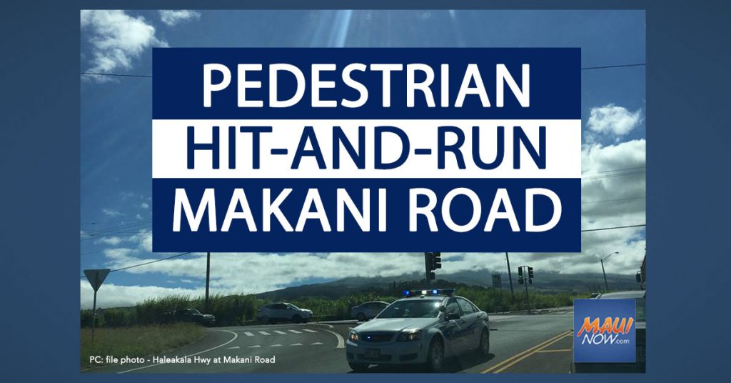 Pedestrian Suffers Life-Threatening Injuries in Hit-And-Run on Makani ...