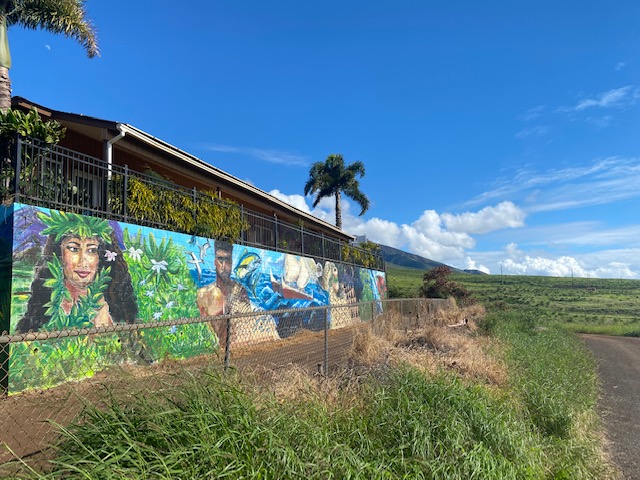 Local artist spreads joy via free public murals in Lahaina : Maui Now