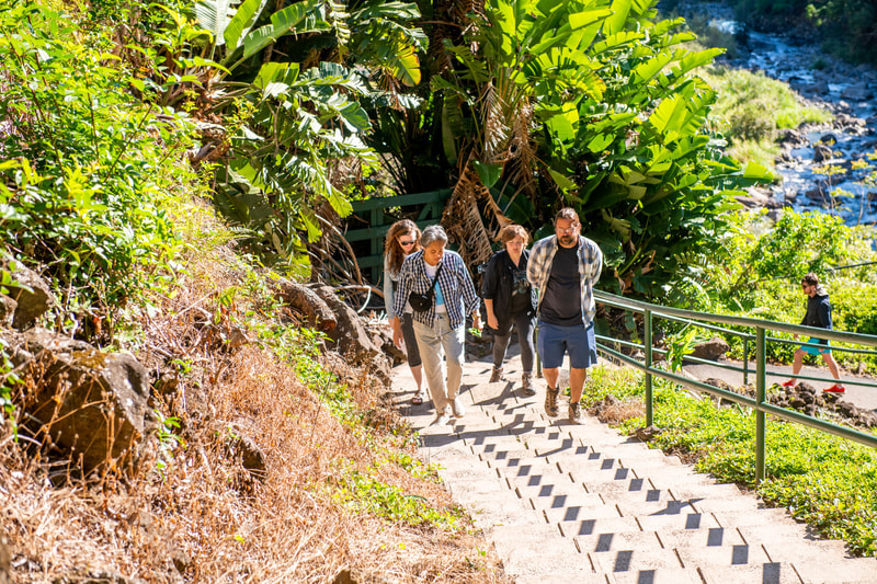 Arizona artist tours Wailuku for inspiration to create sculpture for ...